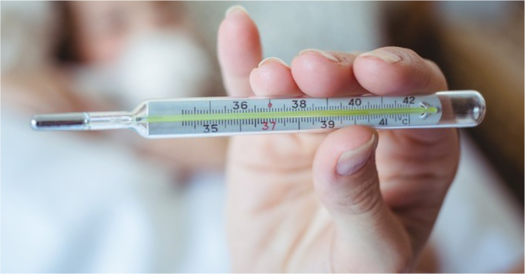 TEMPERATURE DEPENDENCE AND TEMPERATURE LIMITS OF GALVORN CNT PRODUCTS ...