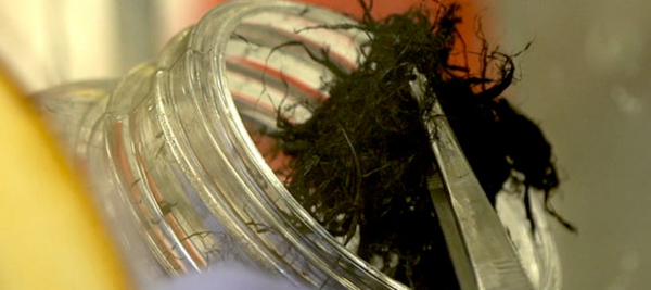 Why audiophiles should consider carbon nanotube audio cables - DexMat